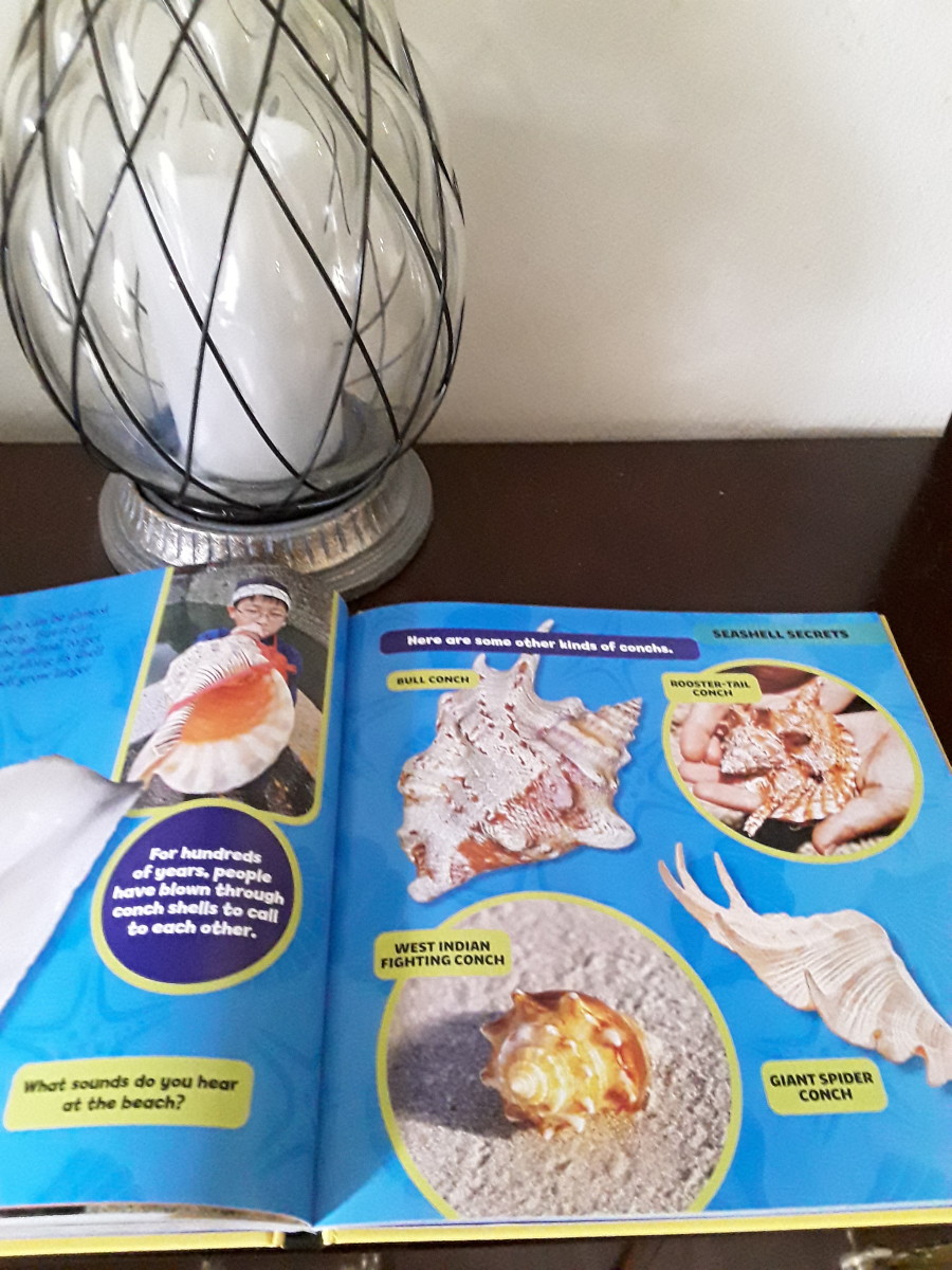 Geology for the Little Ones in National Geographic Kids First Big Book ...