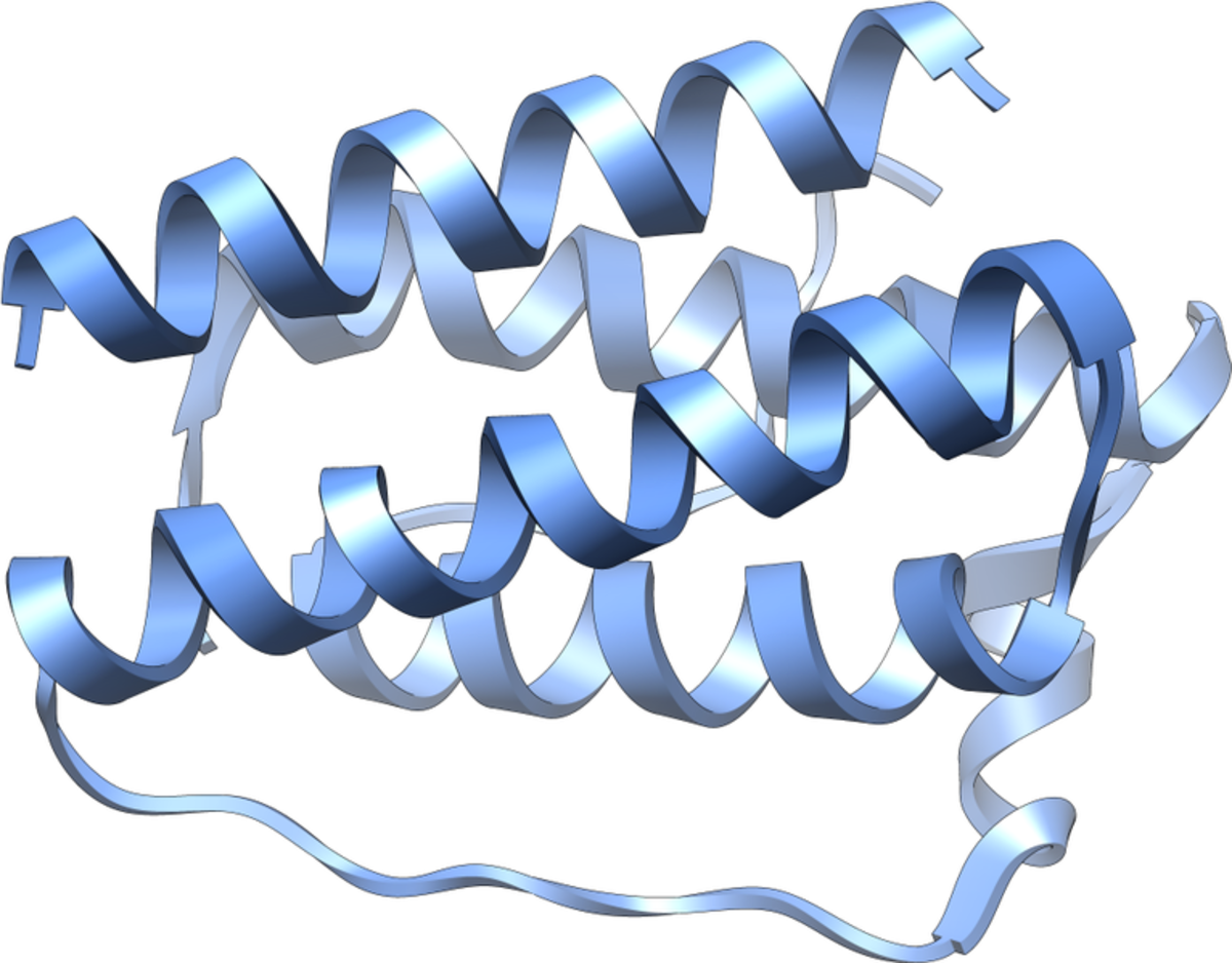 Hormones That Control Appetite: Leptin and Ghrelin Facts - HubPages