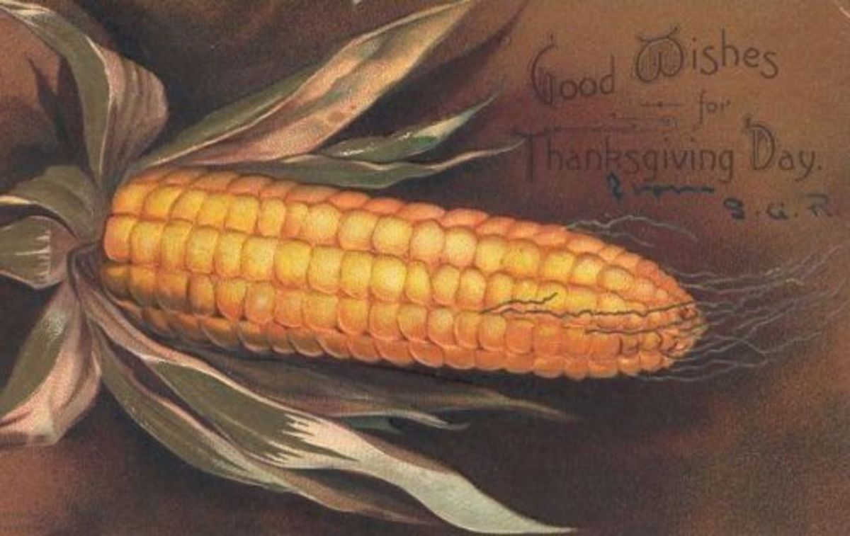 Cultivating Thankfulness With 5 Kernels Of Corn - HubPages