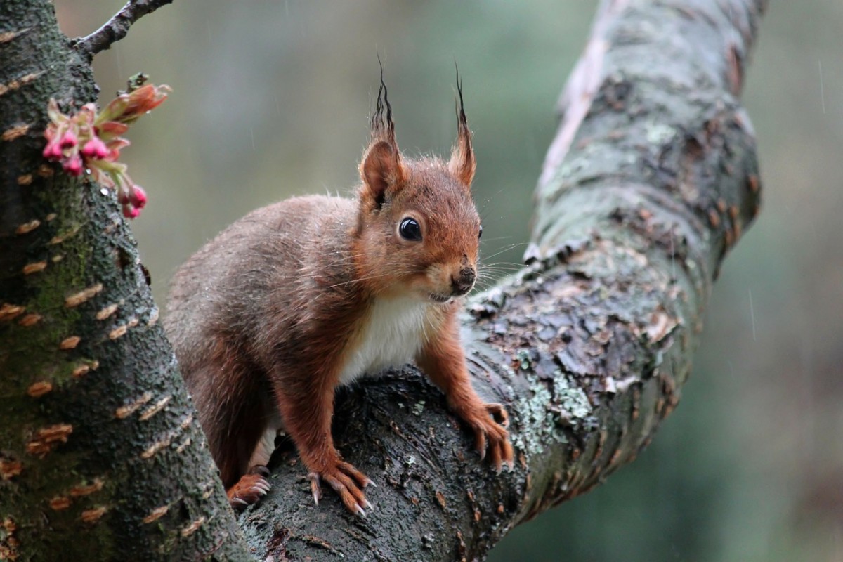 Nature Has Come To Life Again - HubPages