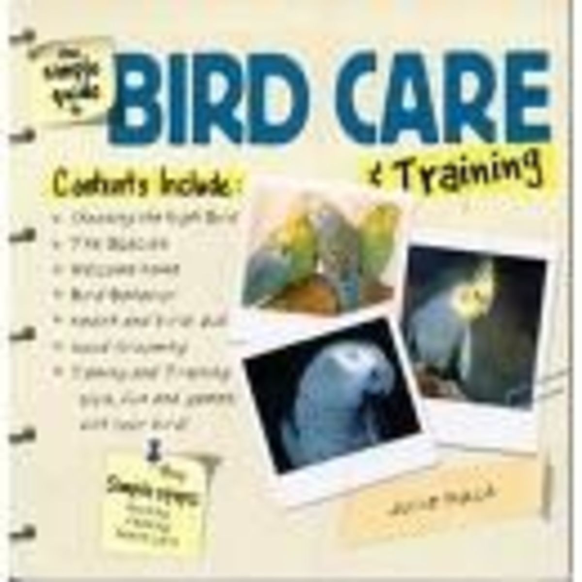 Pet Birds and Things You Should Know Before You Get One - HubPages