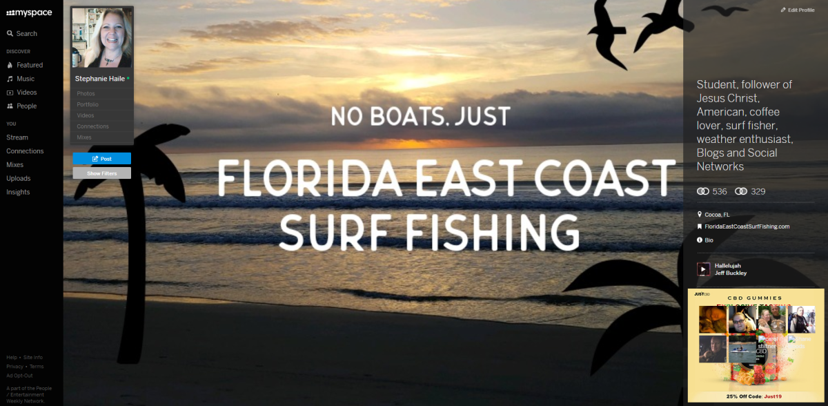 The Rise of Facebook The Fall of MySpace - HubPages