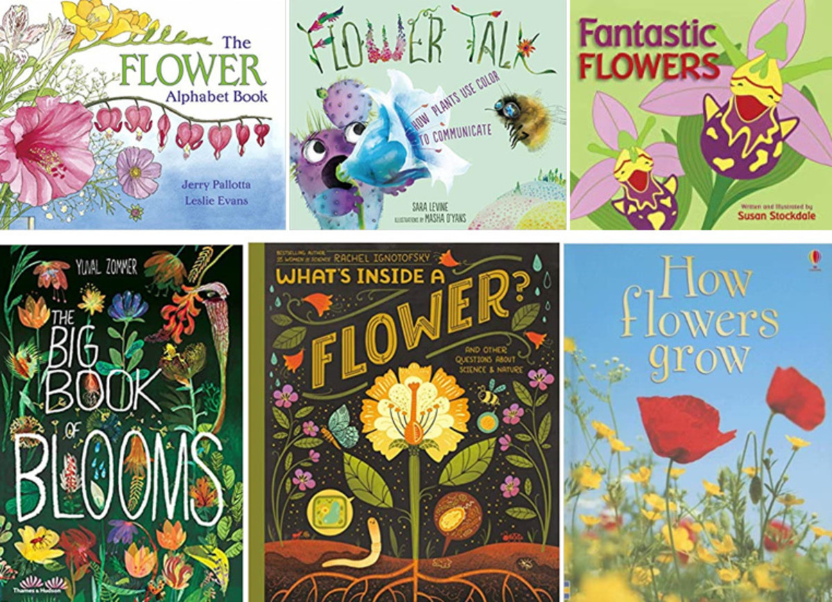 Flowers Lesson Plan for Elementary - HubPages