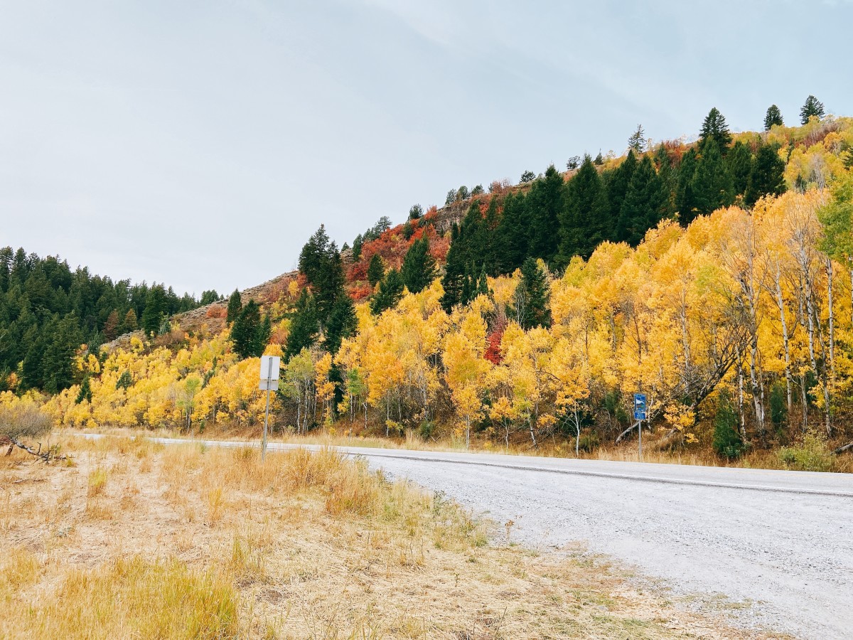 Top Spots for Utah's Fall Colors - HubPages