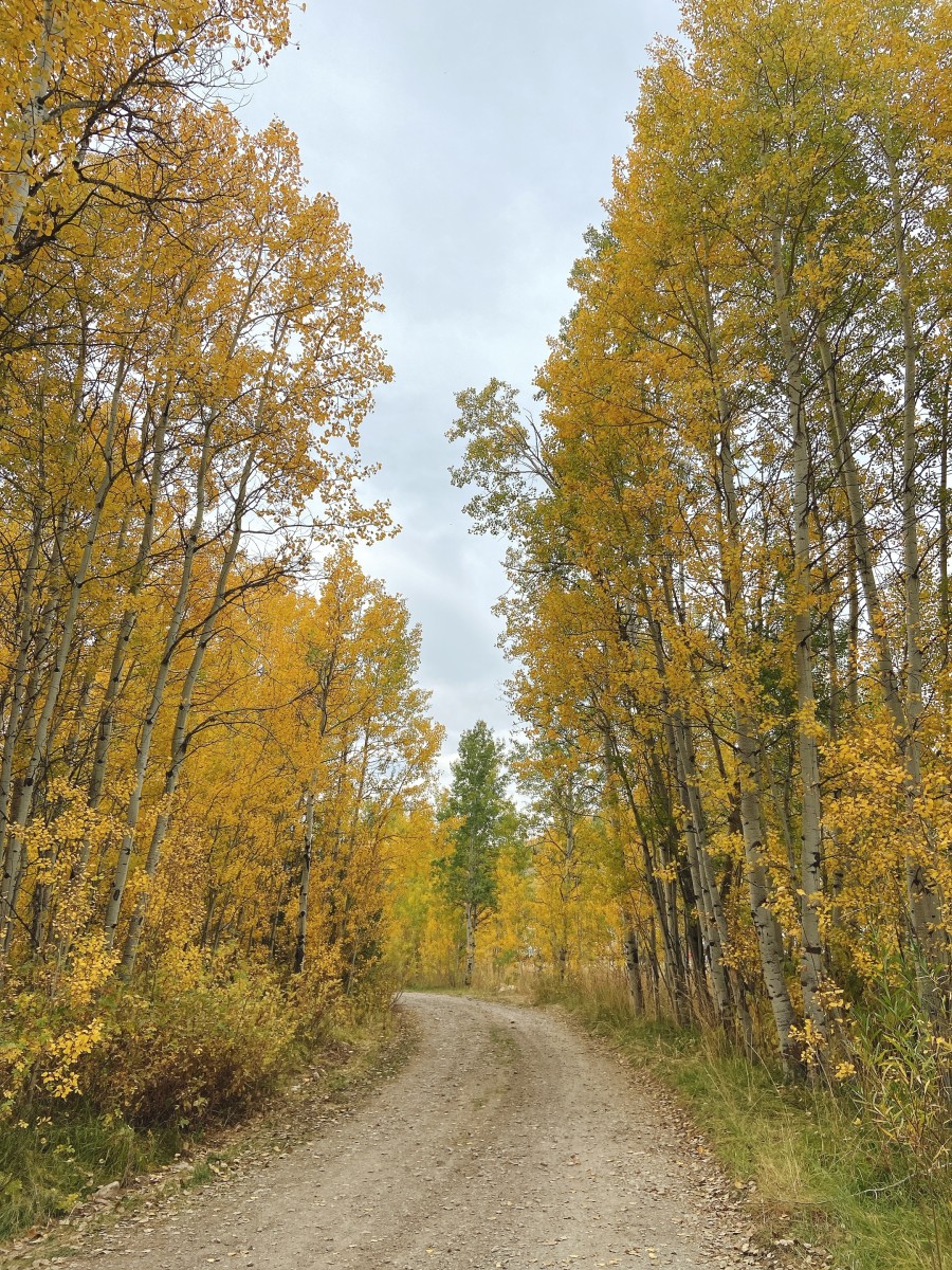 Top Spots for Utah's Fall Colors - HubPages