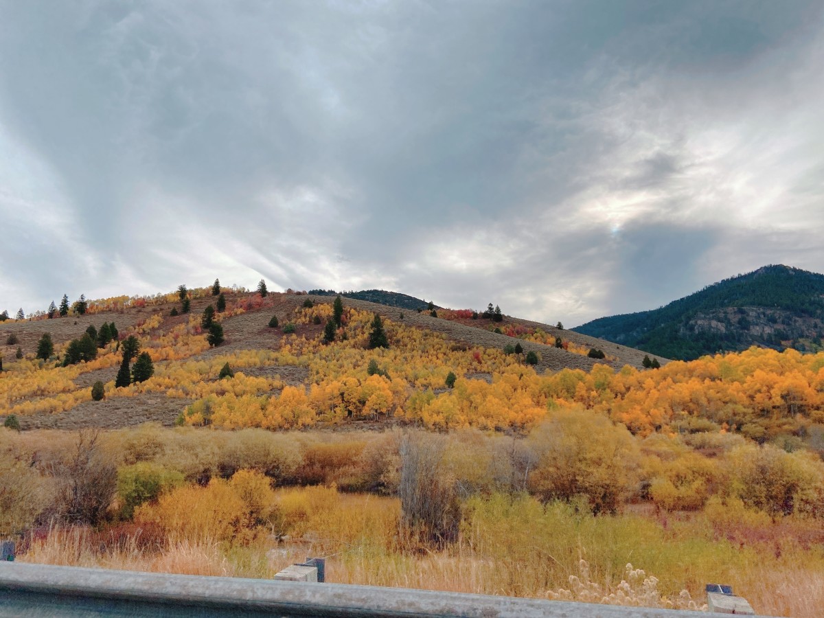 Top Spots for Utah's Fall Colors - HubPages