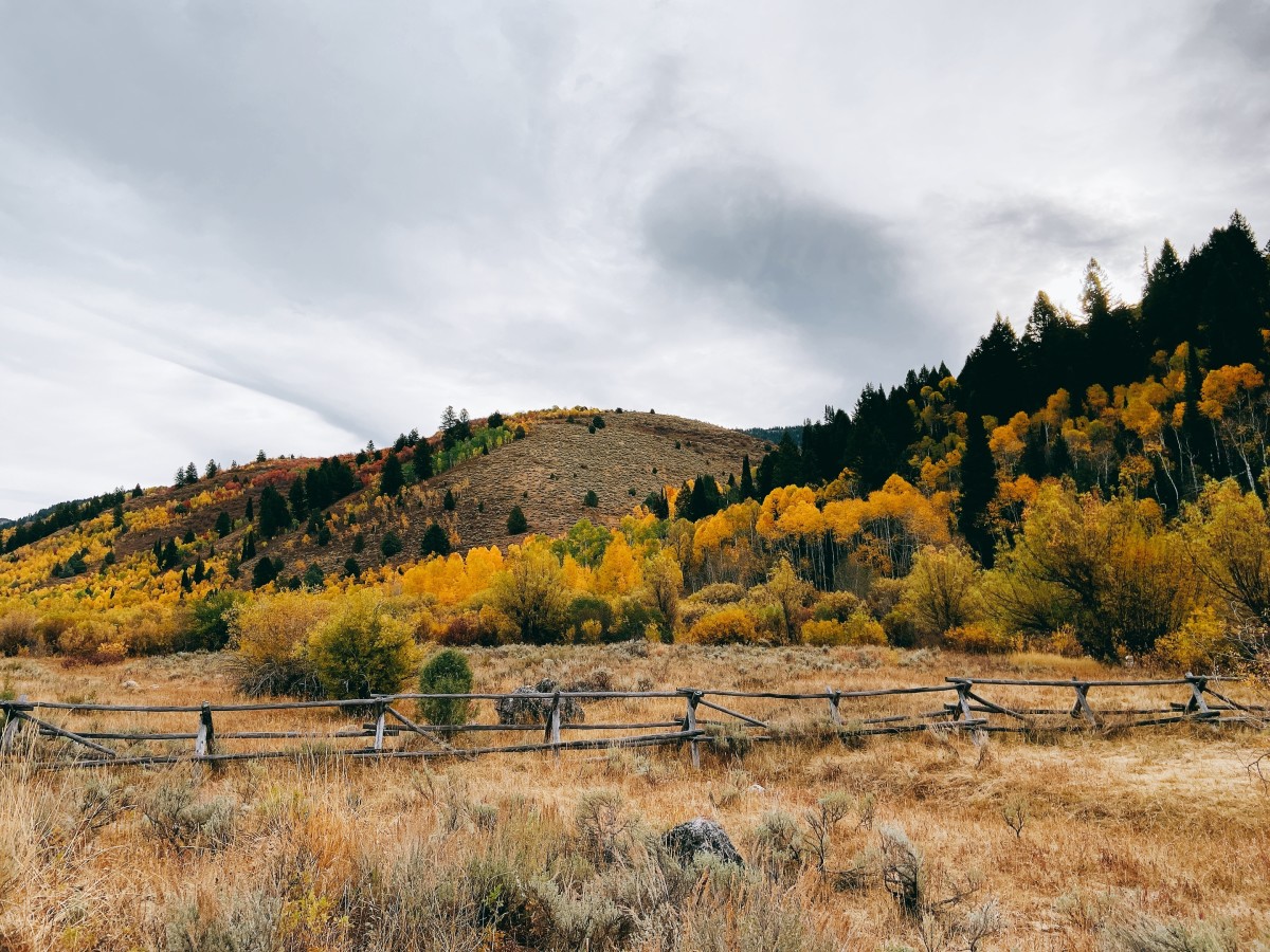 Top Spots for Utah's Fall Colors - HubPages