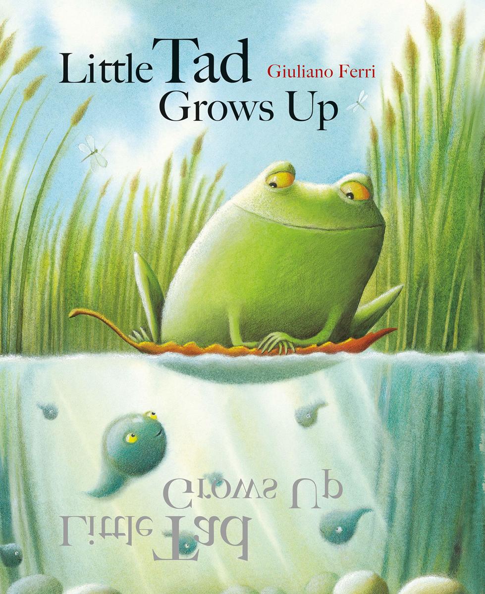 23 Children's Picture Books About Frogs and Toads - WeHaveKids