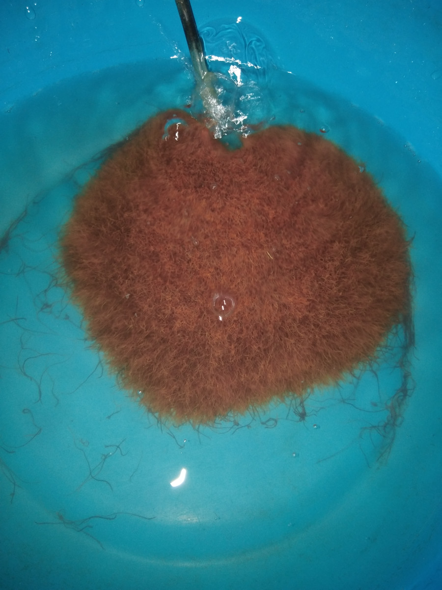 Apparently Alien Creatures Might Be Living in Sewer Tunnels - HubPages