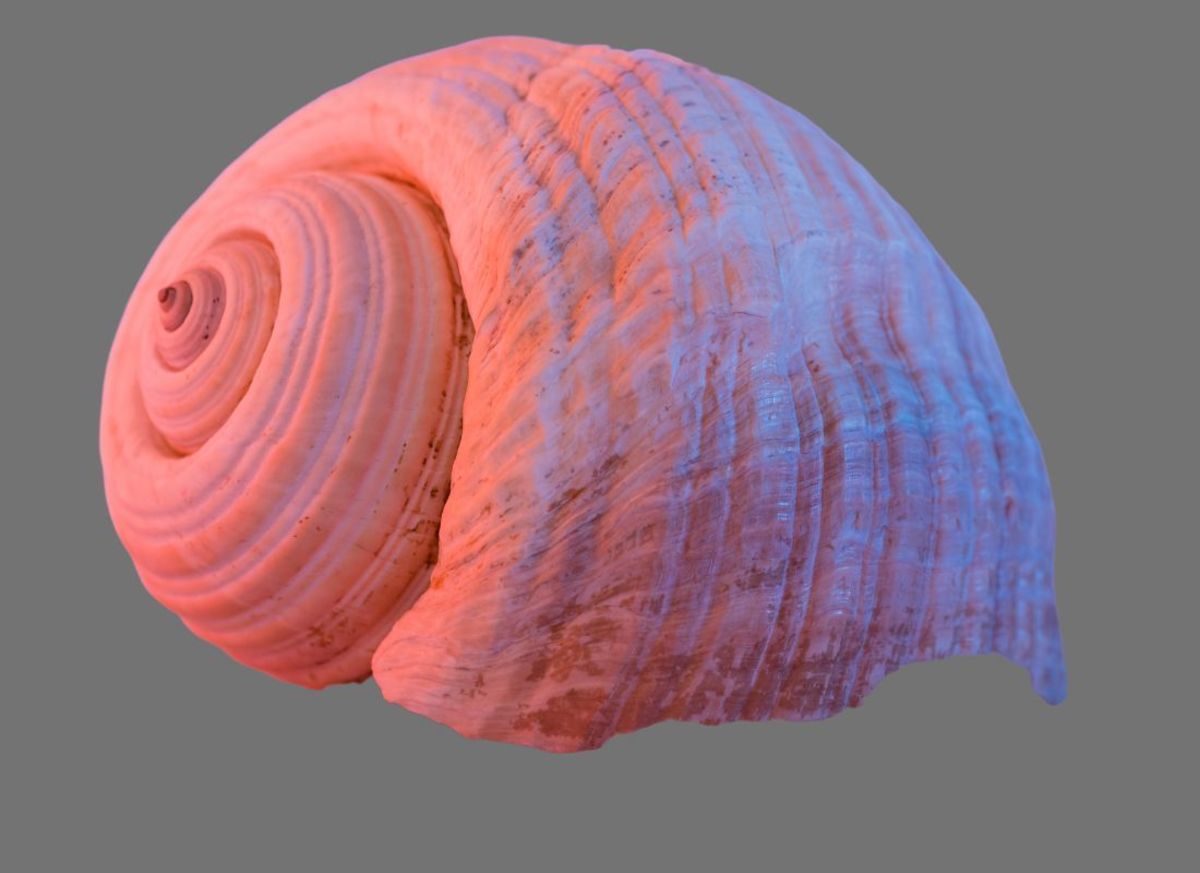 9 Inexpensive and Unique Ideas for Paperweights - HubPages