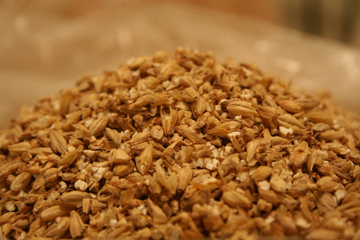 The Basics of Beer - HubPages