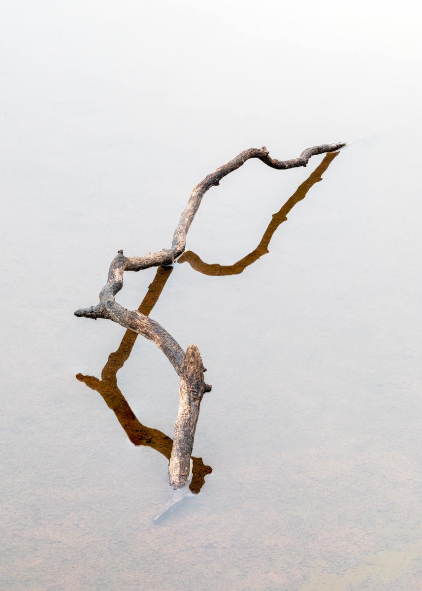 Sustainable Green Magick for Yule - HubPages