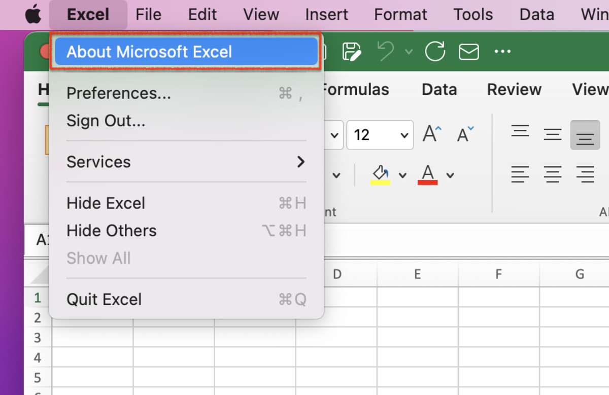 How to Find Out Your Version of Microsoft Excel - HubPages