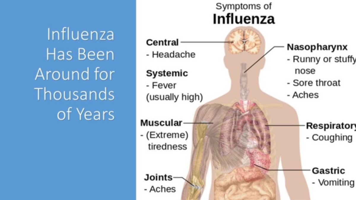 Quick Facts About Influenza Pandemics Most People Don't Know - HubPages