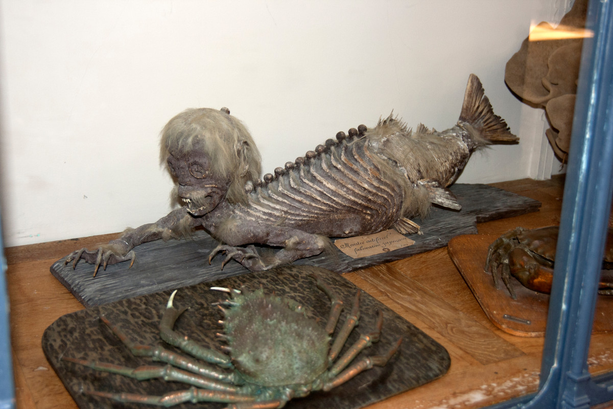 Taxidermist Brings Cryptids to Life - HubPages