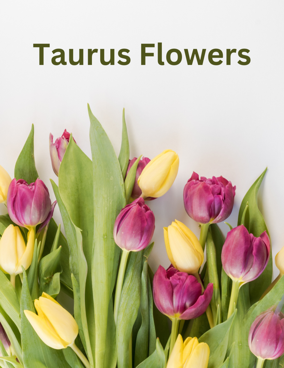 How to Design Your Garden Like a Taurus - HubPages
