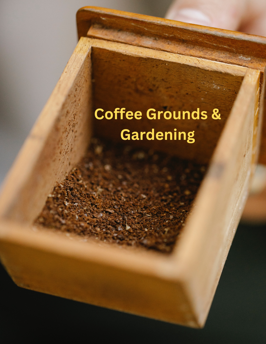 How to Design Your Garden Like a Gemini - HubPages