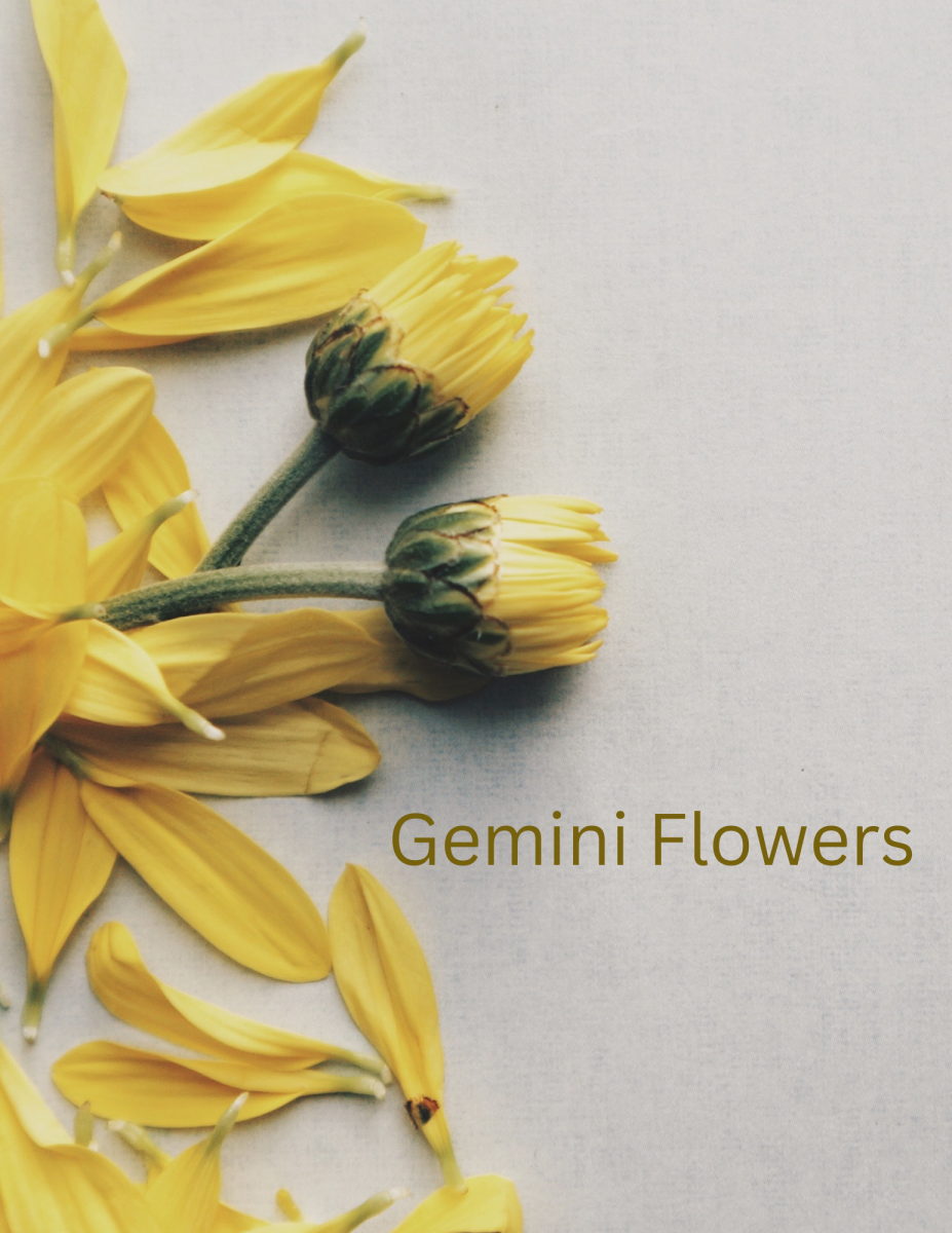 How to Design Your Garden Like a Gemini - HubPages