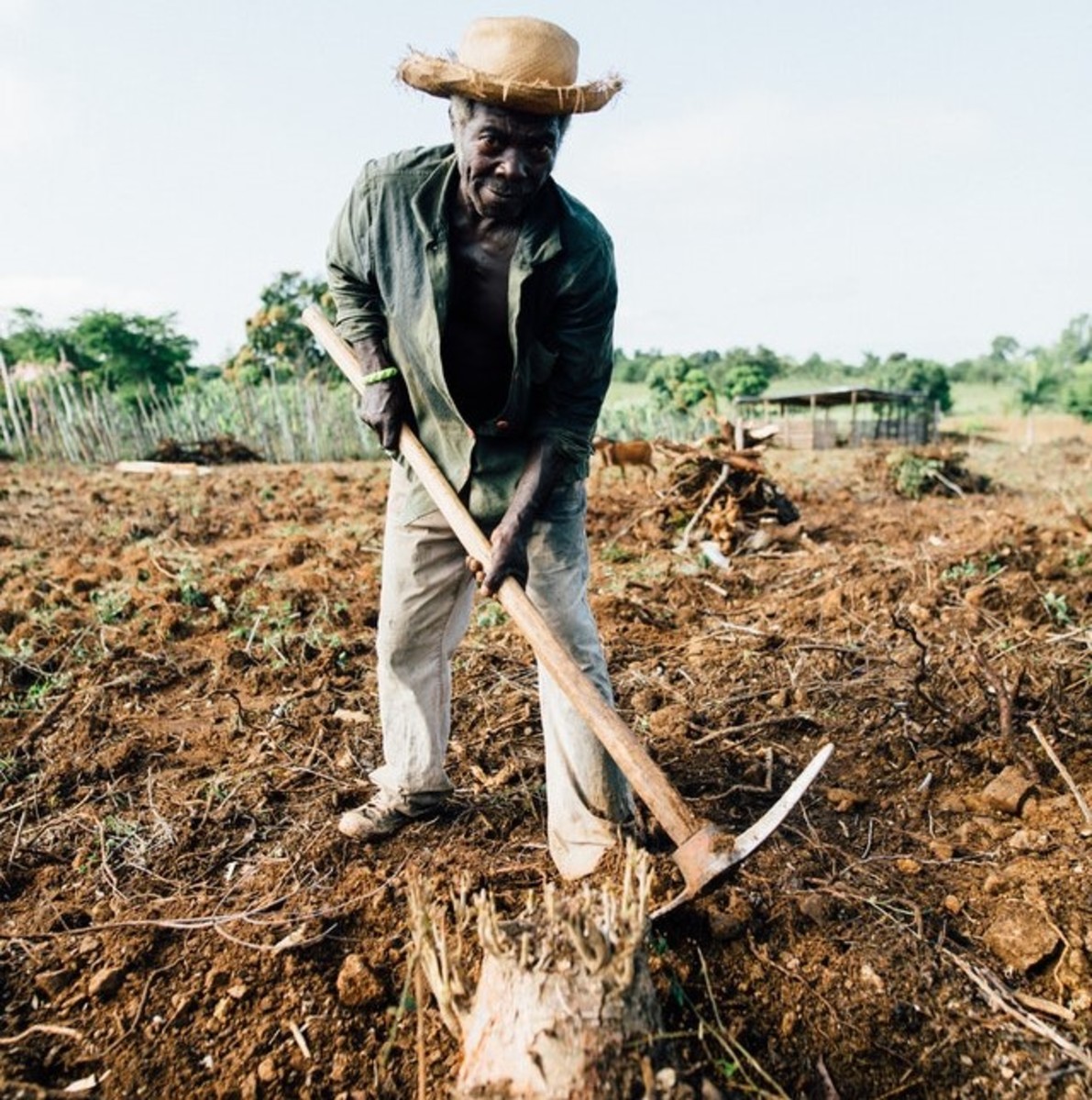 I Am A True Laborer! - HubPages