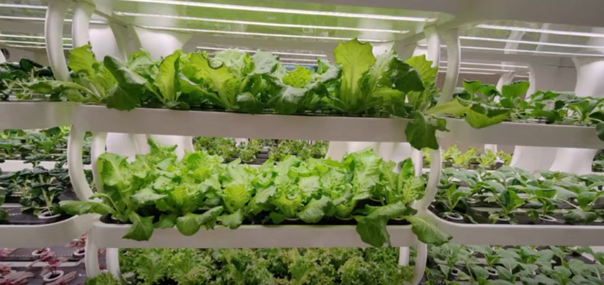 Best Small Farm Business Ideas : How to Start Your Agricultural Venture ...