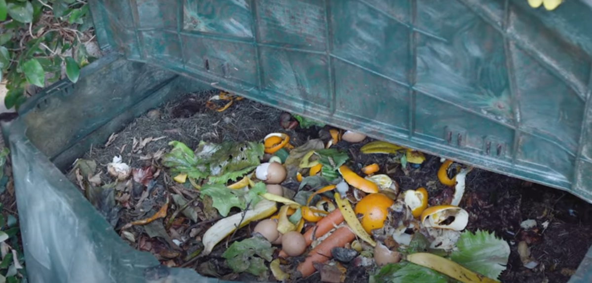 Best Small Farm Business Ideas : How to Start Your Agricultural Venture ...