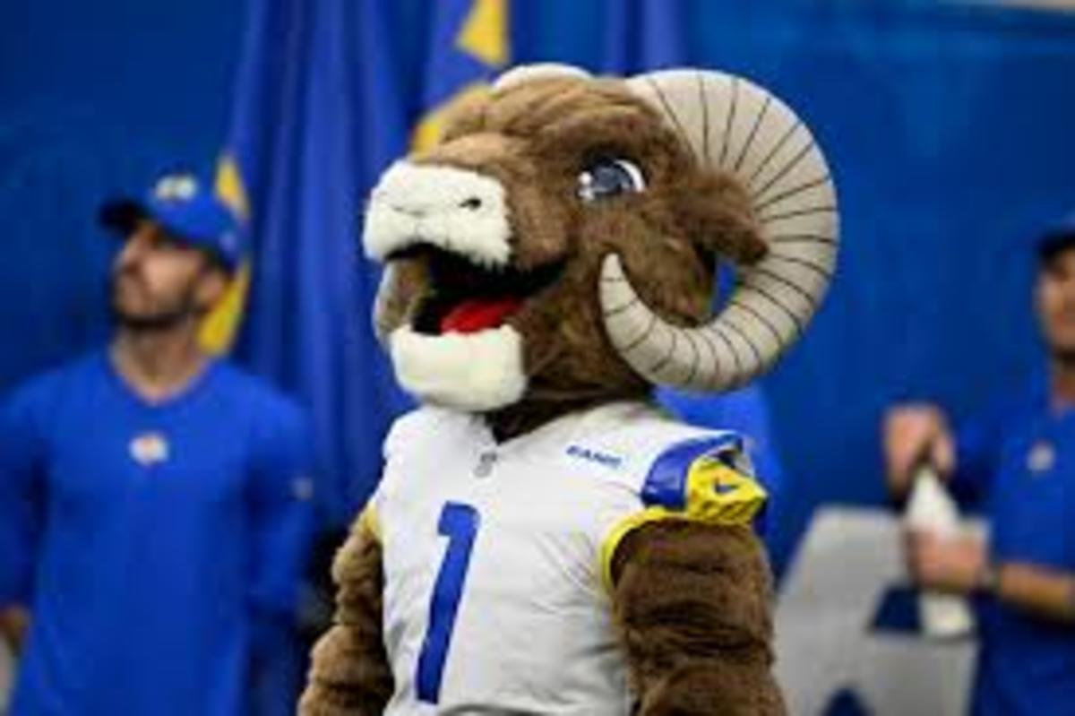 Sports Mascots: The Goodwill Ambassadors - HubPages