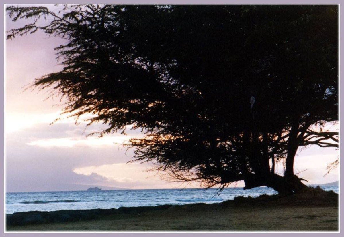 Uncovering Maui's Hidden Secrets: Discover What Most Tourists Miss ...