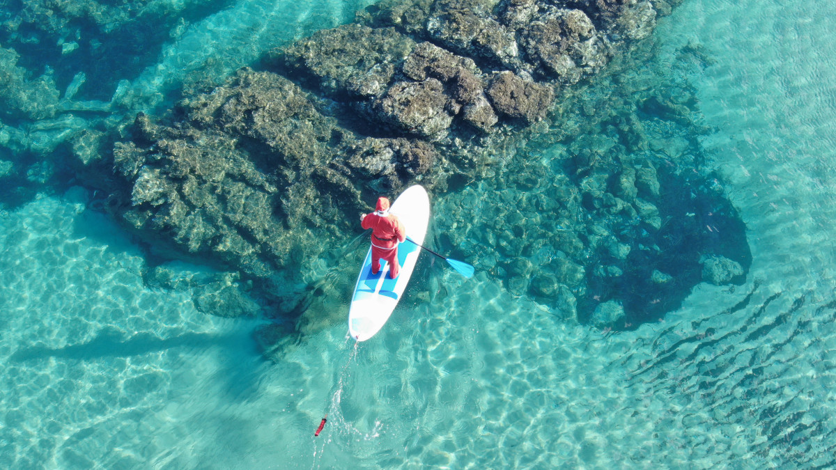 Australia's 'Santa Surfs' Are A Terrific Tropical Christmas Tradition ...
