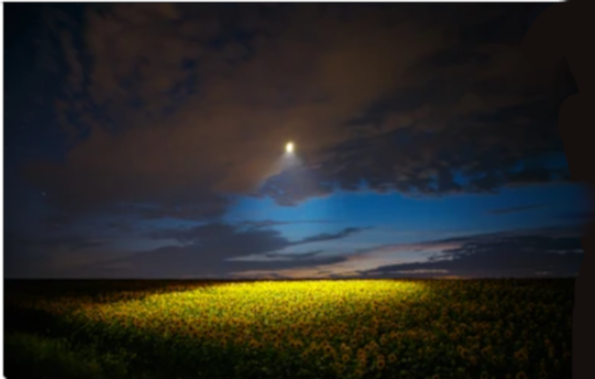 The Basics: How to Create a World for Your Fictional Characters--101 ...