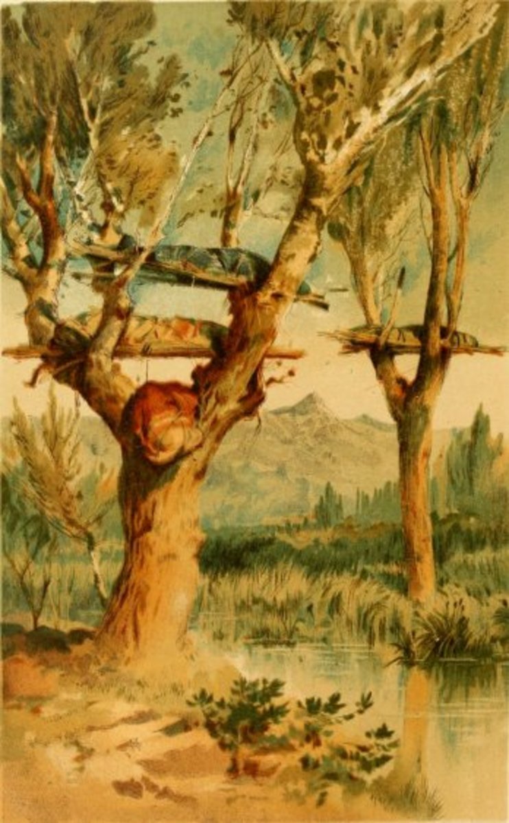 7 Unusual Burial Rituals From Around the World - Owlcation