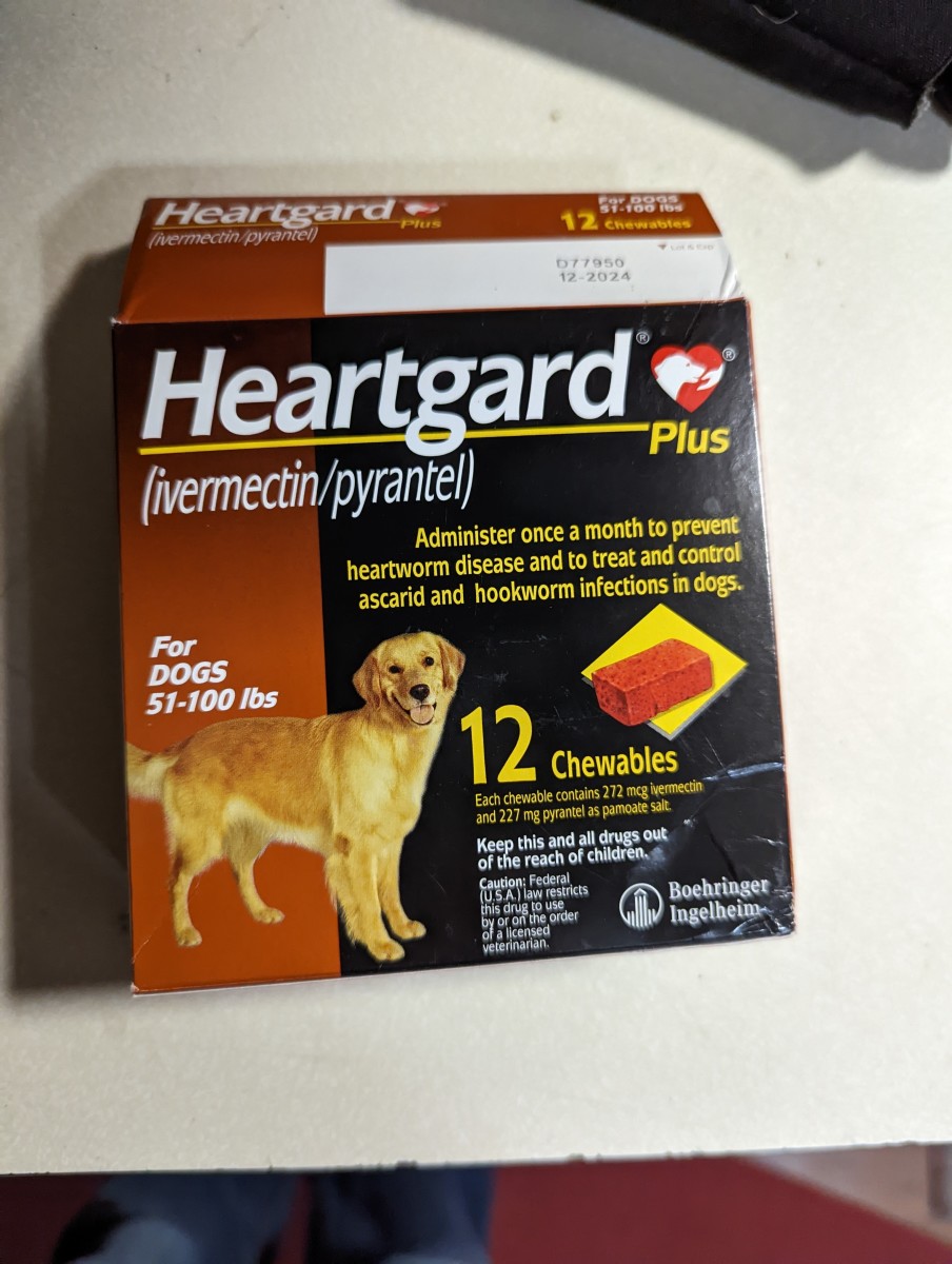 Heartgard - Once a Month for Buddy - HubPages
