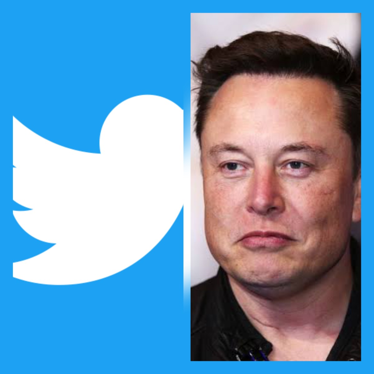 Who is Elon Musk - HubPages