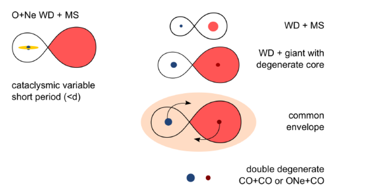什么是电子捕获超新星?——Owlcation - 188宝金博官网到底是哪个