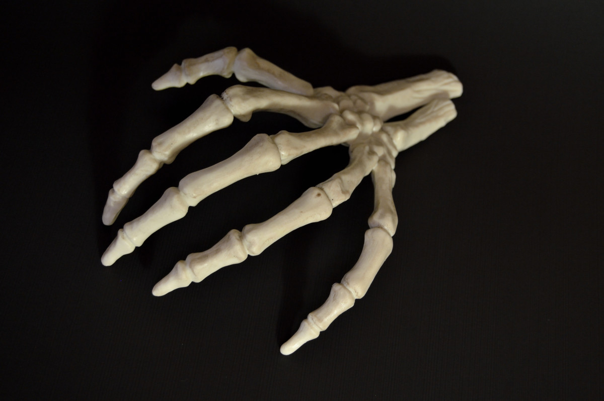 Brazilians Claim To Have Found "Mermaid Hand" Washed Up on Beach - HubPages