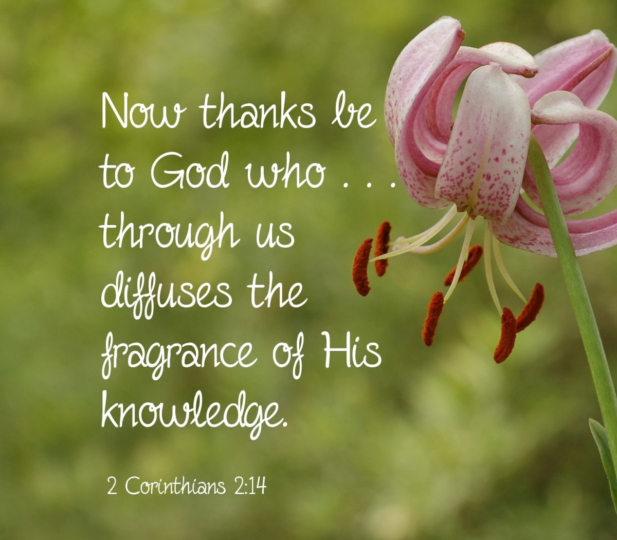Scripture Meditations Focused on the Five Senses - HubPages