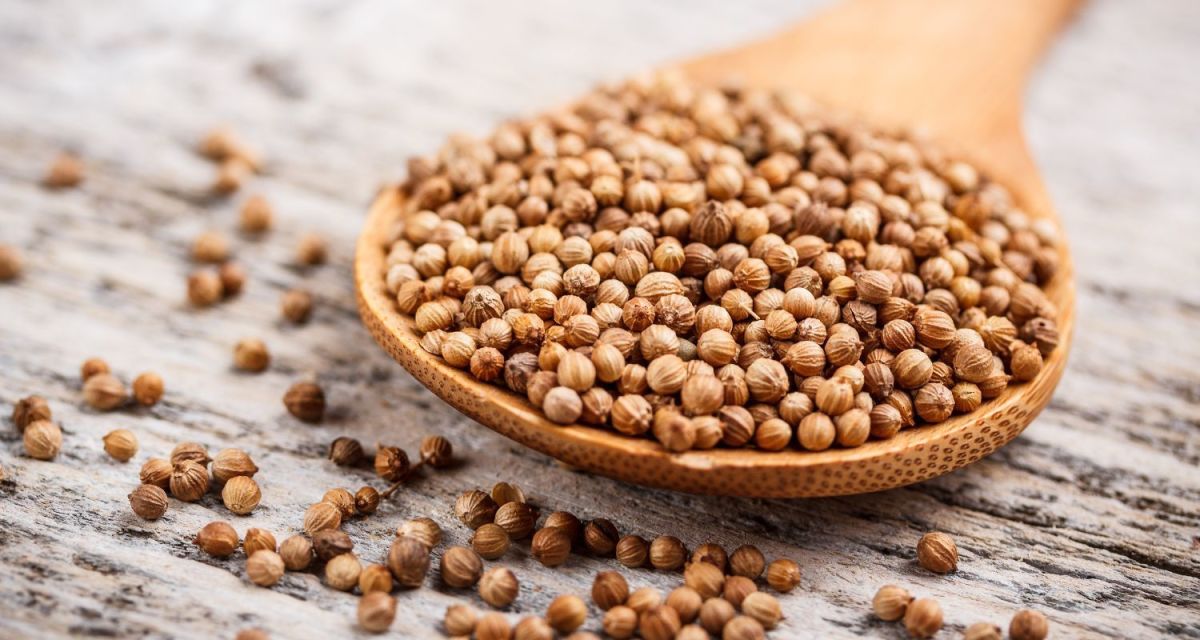 Can Coriander Seeds Go Bad? - HubPages