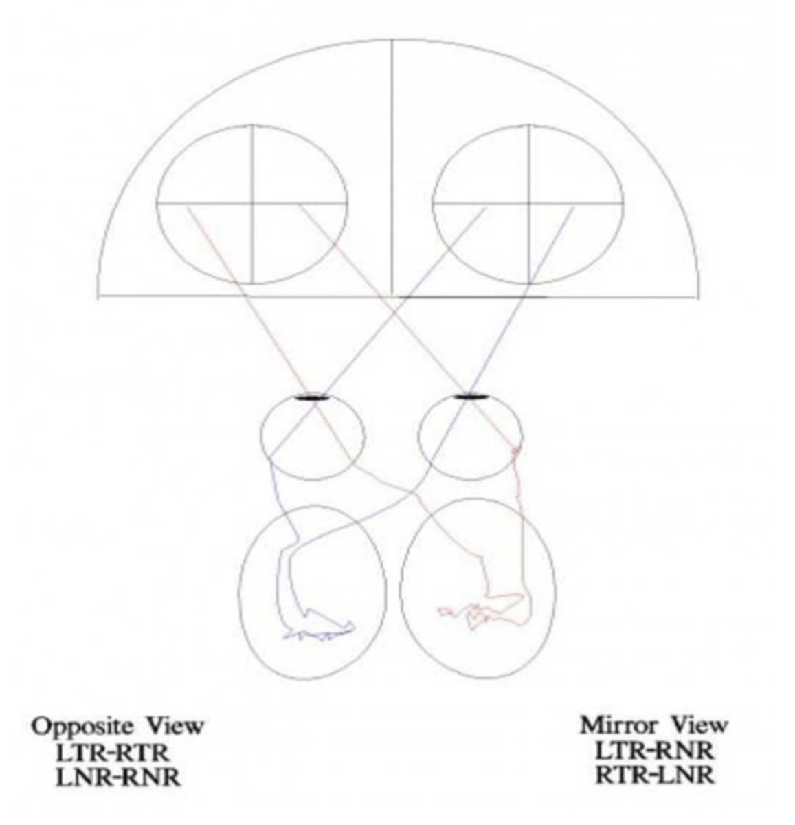 Visual Training and Perception Glasses - HubPages