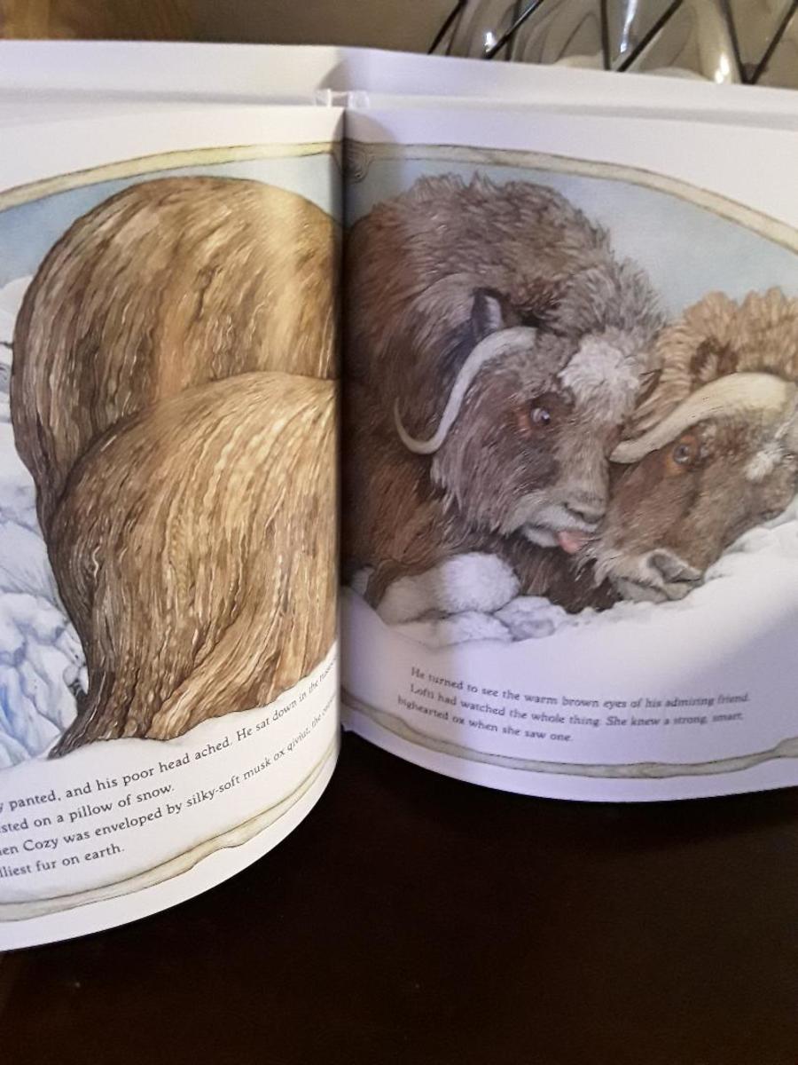 Jan Brett's Loveable Character Cozy the Musk Ox Is Back in New Picture ...