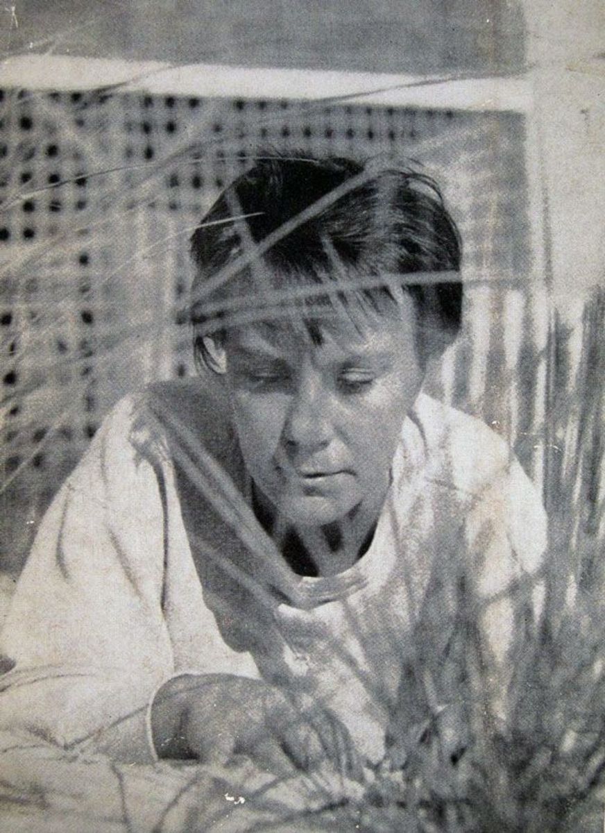 To Kill a Mockingbird, Author Harper Lee - HubPages