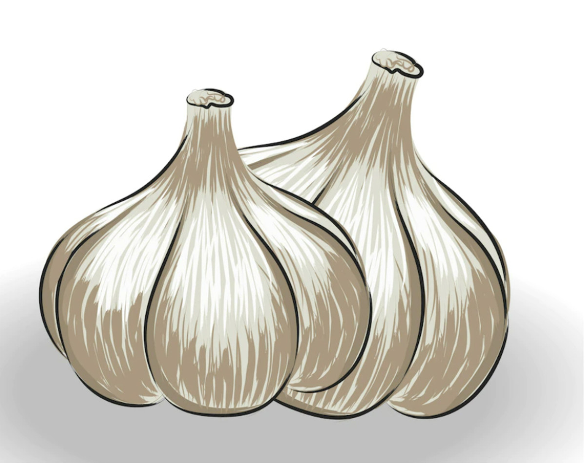 The Benefits of Eating Garlic in Cancer Prevention - HubPages