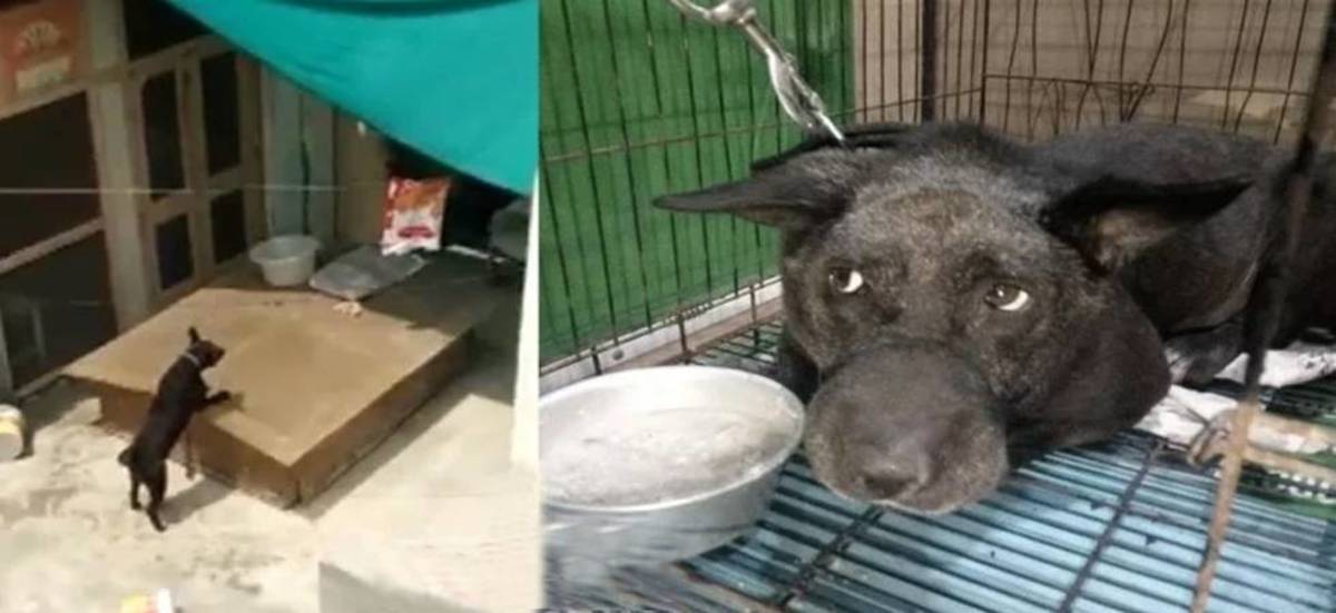 The Burari Deaths: The Mystery of the Chundawat Family - The CrimeWire