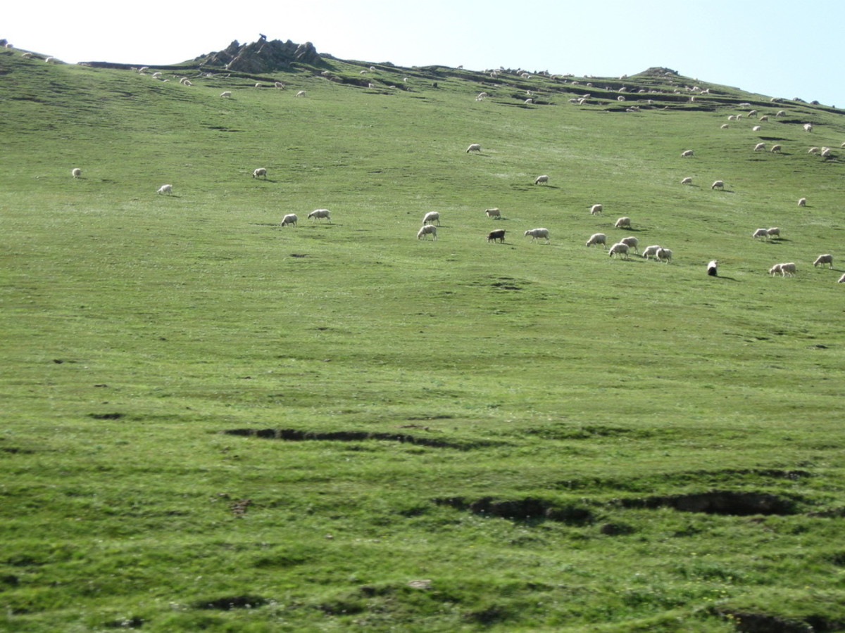 The Top 10 Highest or the Tallest Formations of Nature in the World ...