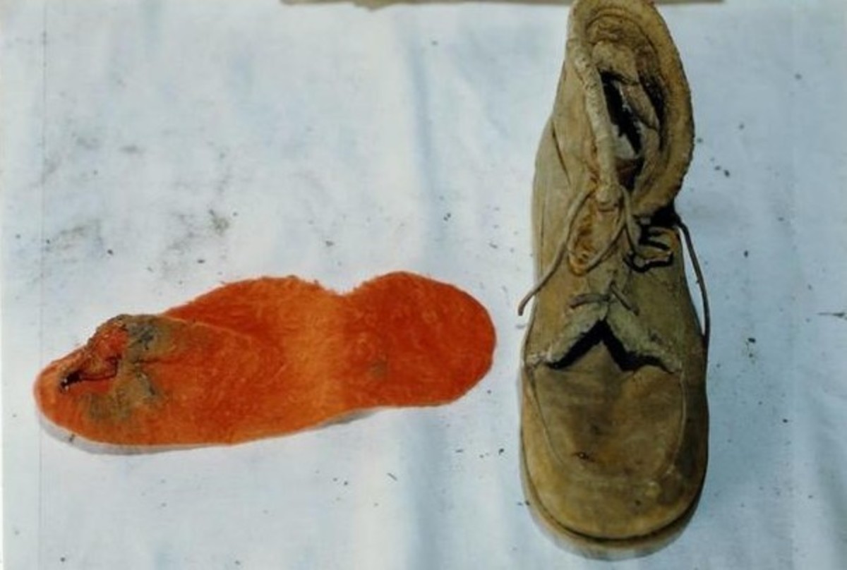 Bobbie Jo Oberholtzer and Annette Schnee Murders: What Happened? - HubPages