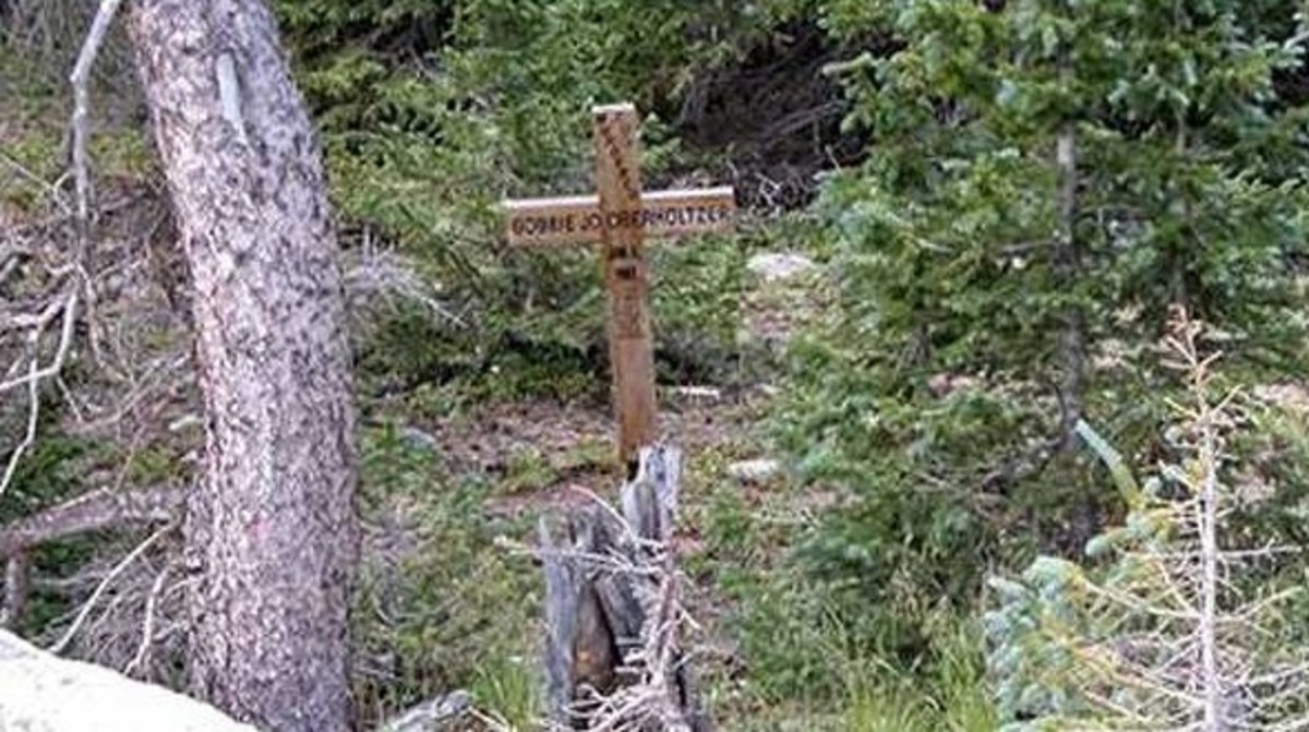 Bobbie Jo Oberholtzer and Annette Schnee Murders: What Happened? - HubPages