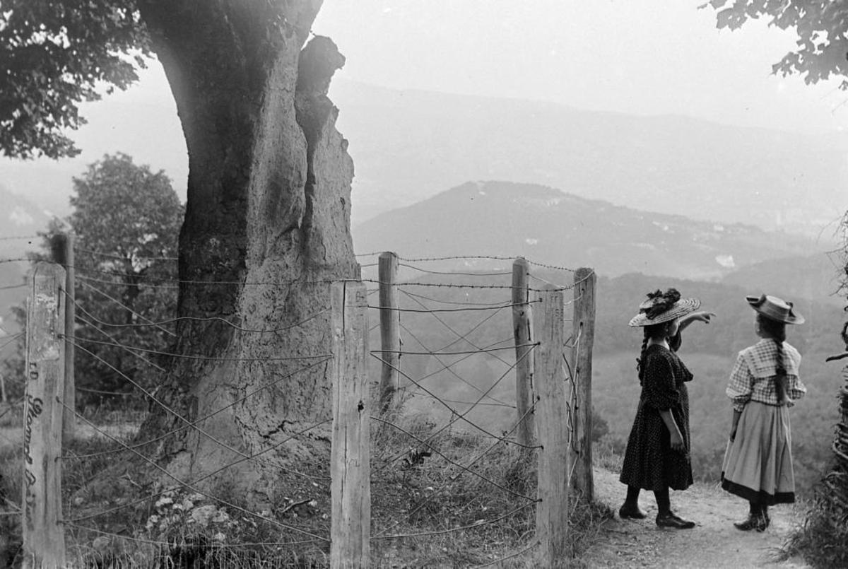 Normafa Is One of the Oldest and Most Popular Hiking Spots in Budapest ...