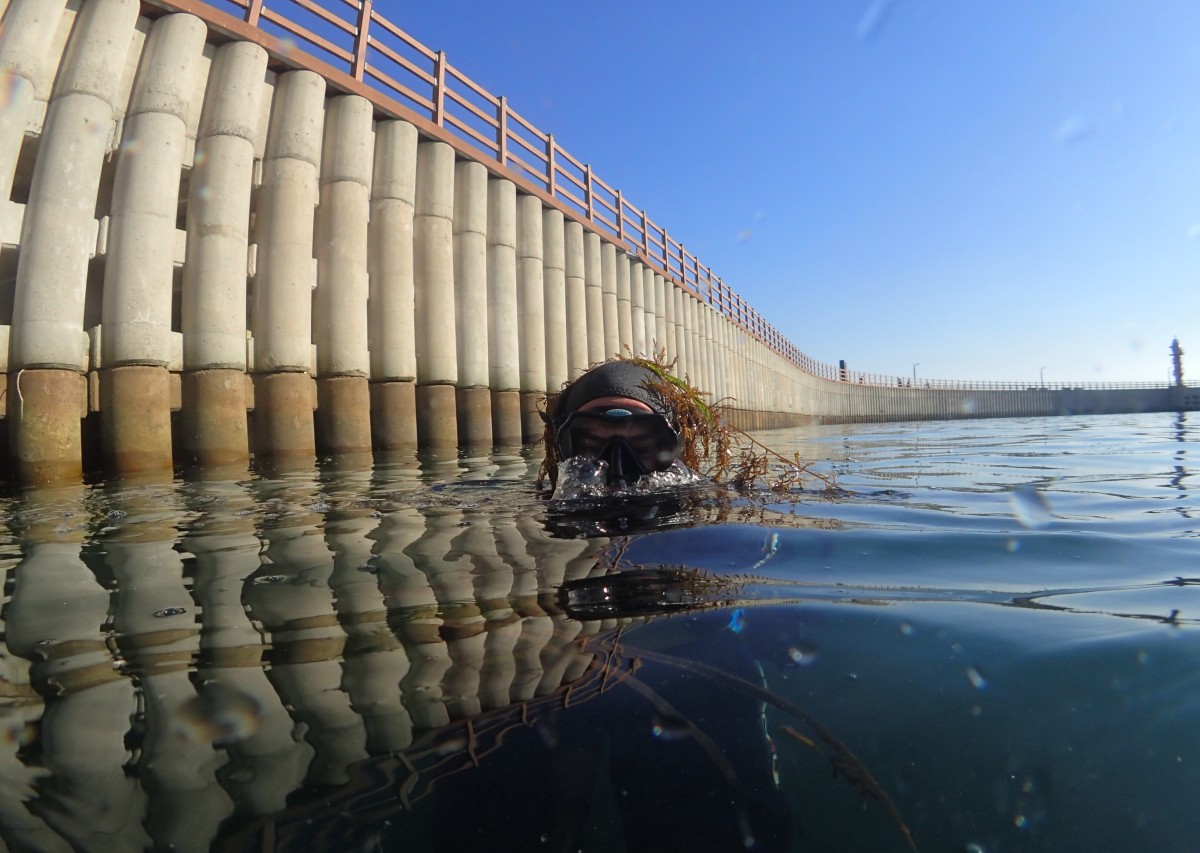 The Lesson Deep Within - Dive Deep! - LetterPile