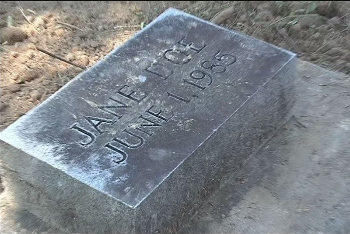 Mary Angie Cowan: "Baker County Jane Doe" Identified - HubPages
