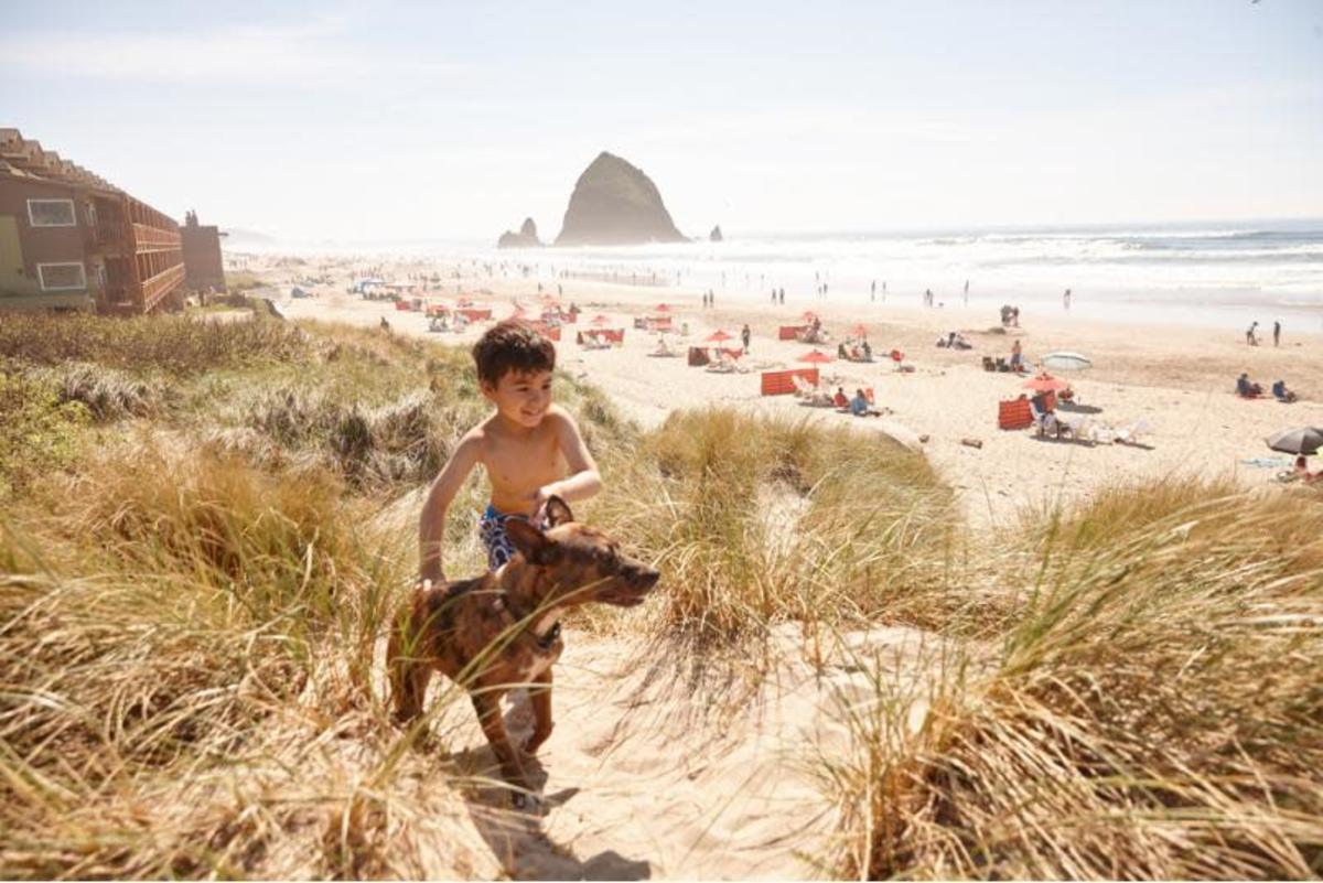 The 10 Best Beaches for Small Dogs in the US - HubPages