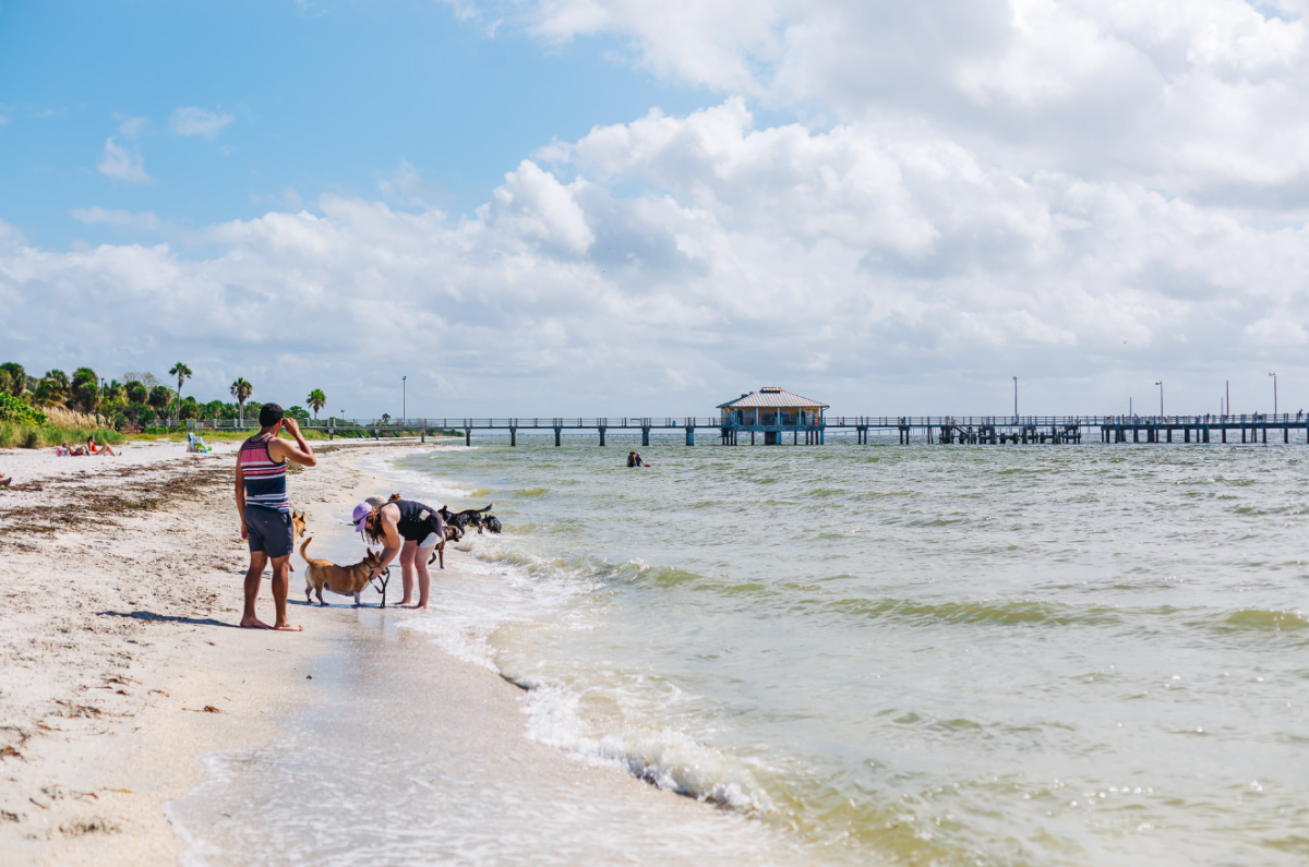 The 10 Best Beaches for Small Dogs in the US - HubPages