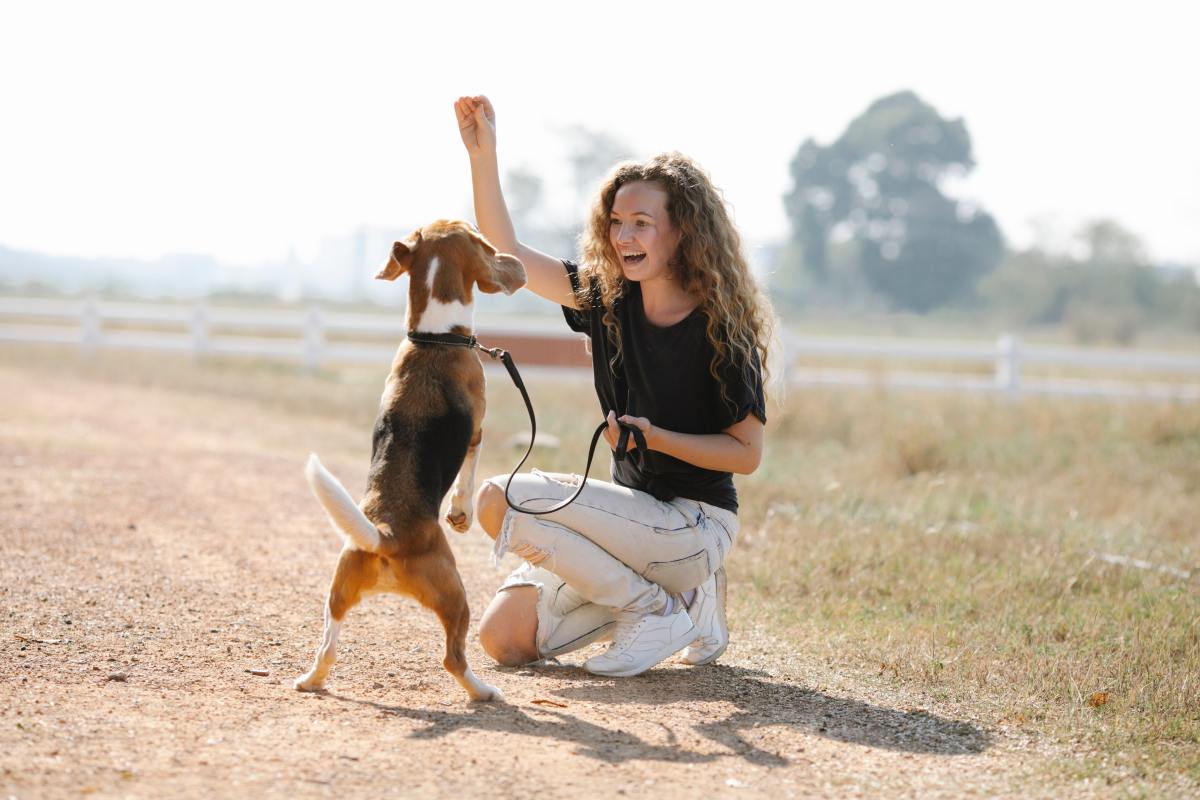 5 Fun Activities to Do With Your Pet: Ideas for Bonding With Your Furry ...